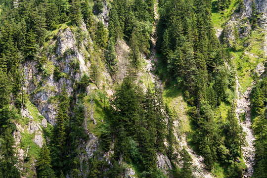 5,477 件の最適な Abhang 画像、ストック写真、ベクター | Adobe Stock