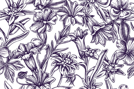 Edelweiss Pattern Images – Browse 1,025 Stock Photos, Vectors, and ...