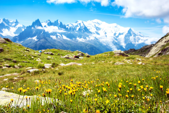 Spring-Summer Images – Browse 2,674 Stock Photos, Vectors, and Video ...