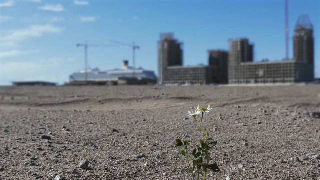 "Soil Pollution" Images – Browse 3,700 Stock Photos, Vectors, and Video ...
