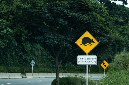 Gurre Images – Browse 45 Stock Photos, Vectors, and Video | Adobe Stock