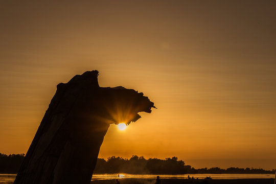 Intersting 이미지 – 찾아보기 478 스톡 사진, 벡터 및 비디오 | Adobe Stock