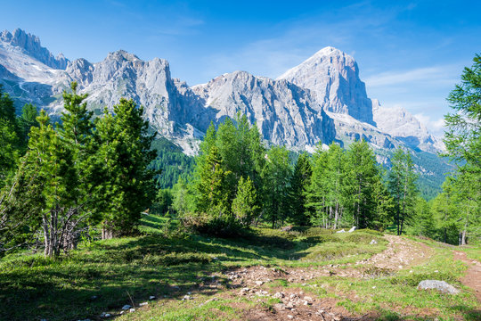 Felse Bilder – Durchsuchen 290 Archivfotos, Vektorgrafiken und Videos ...