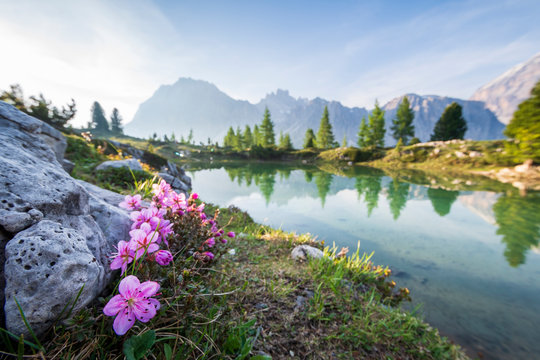 รูปภาพFelse – เลือกดูภาพถ่ายสต็อก เวกเตอร์ และวิดีโอ290 | Adobe Stock