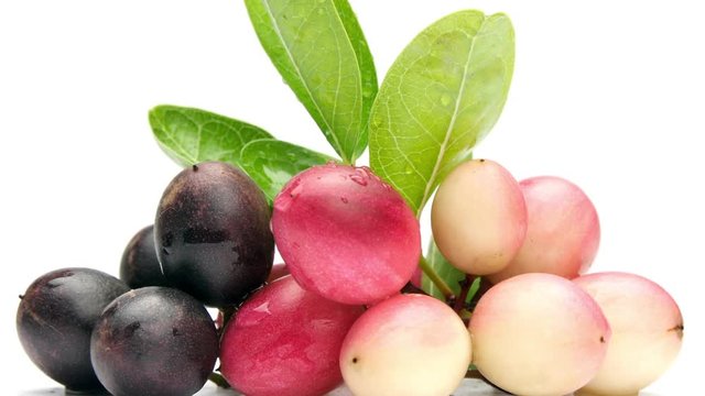 Carissa Images – Browse 2,634 Stock Photos, Vectors, and Video | Adobe ...