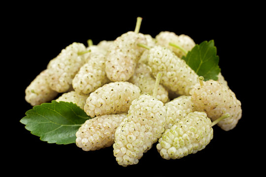 Malberry bilder – Bläddra bland 156 stockfoton, vektorer och videor ...