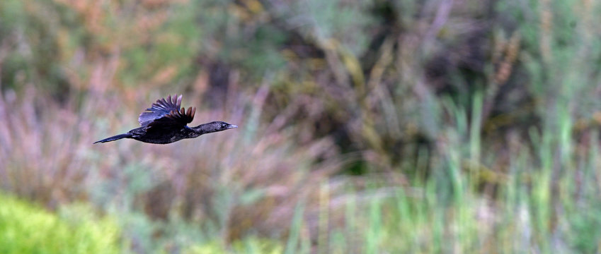 Fendak Bilder – Durchsuchen 21 Archivfotos, Vektorgrafiken und Videos ...