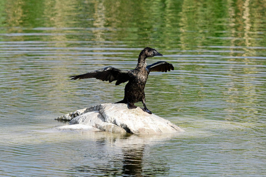 Fendak Bilder – Durchsuchen 21 Archivfotos, Vektorgrafiken und Videos ...
