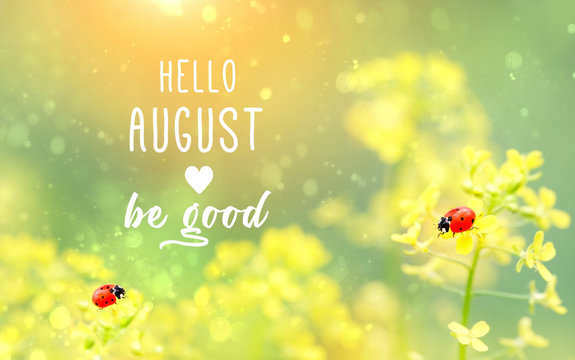 "Hello August" Images – Browse 1,142 Stock Photos, Vectors, and Video ...