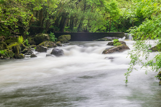 Sobrepasar Images – Browse 8 Stock Photos, Vectors, and Video | Adobe Stock