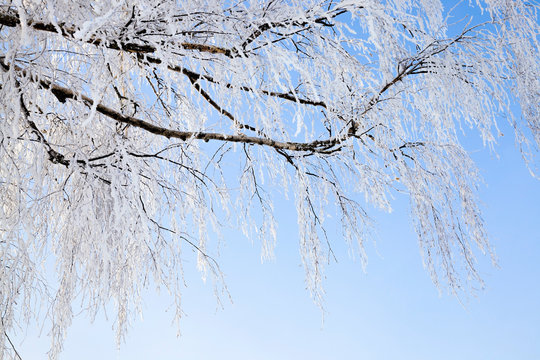 รูปภาพBirchen – เลือกดูภาพถ่ายสต็อก เวกเตอร์ และวิดีโอ1,369 | Adobe Stock