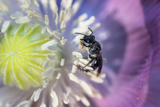 รูปภาพButineur – เลือกดูภาพถ่ายสต็อก เวกเตอร์ และวิดีโอ492 | Adobe Stock