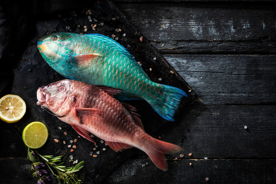 Free Fish Images – Browse 11,323 Free Stock Photos, Vectors, and Video ...