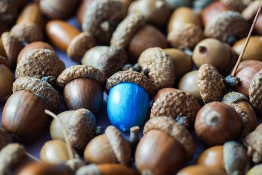 Imágenes de Settrender: descubre bancos de fotos, ilustraciones ...