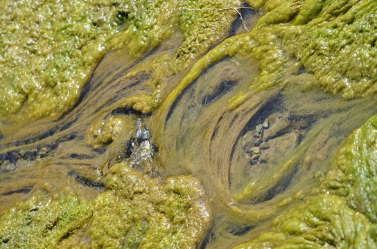 รูปภาพWasserlauf – เลือกดูภาพถ่ายสต็อก เวกเตอร์ และวิดีโอ7,589 | Adobe ...