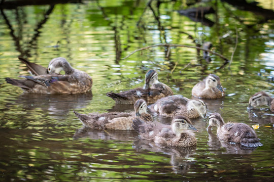 Alex Papp photos, images, assets | Adobe Stock