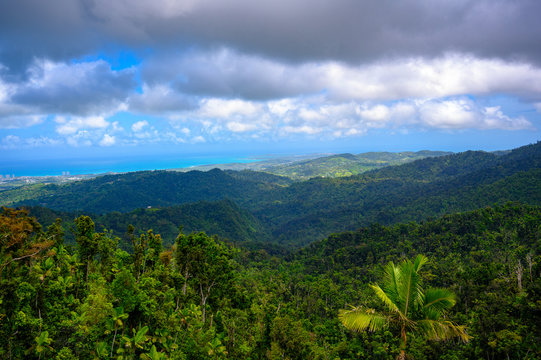 Yunque Images – Browse 38 Stock Photos, Vectors, and Video | Adobe Stock