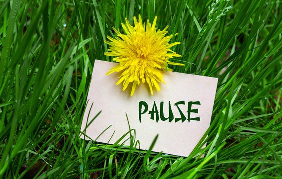 Pausenschild-Bilder: Stock-Fotos & -Videos. | Adobe Stock