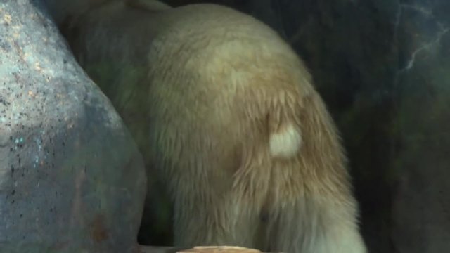 Intersting Images – Browse 477 Stock Photos, Vectors, and Video | Adobe ...