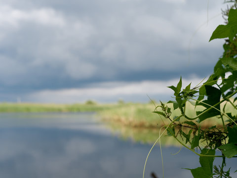รูปภาพMecklenburger – เลือกดูภาพถ่ายสต็อก เวกเตอร์ และวิดีโอ486 | Adobe ...