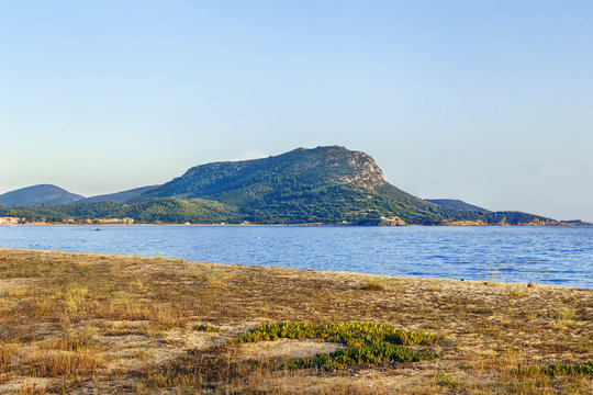 รูปภาพToroni – เลือกดูภาพถ่ายสต็อก เวกเตอร์ และวิดีโอ566 | Adobe Stock