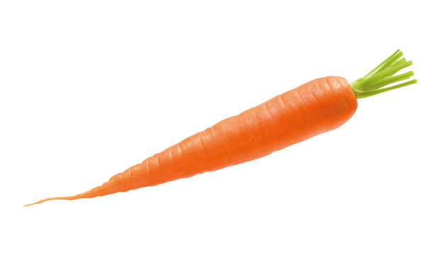 รูปภาพKarotte – เลือกดูภาพถ่ายสต็อก เวกเตอร์ และวิดีโอ26,370 | Adobe Stock