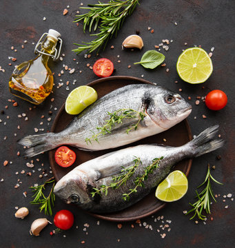 Free Fish Images – Browse 11,323 Free Stock Photos, Vectors, and Video ...