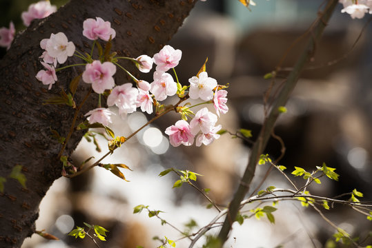 守 Images – Browse 624 Stock Photos, Vectors, and Video | Adobe Stock