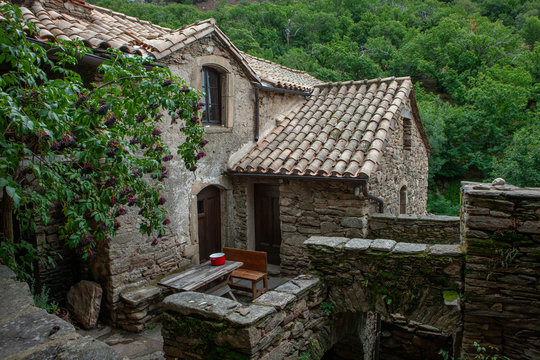 Bardou Images – Browse 54 Stock Photos, Vectors, and Video | Adobe Stock