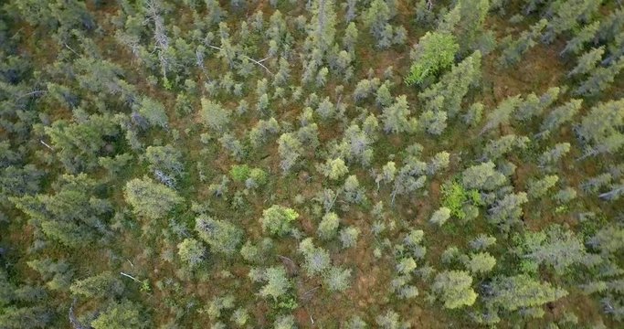 Pello Images – Browse 74 Stock Photos, Vectors, and Video | Adobe Stock