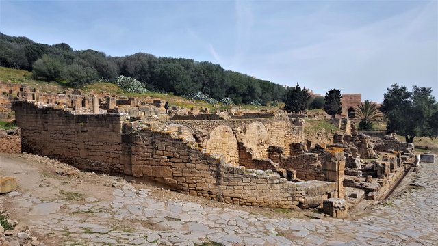 Carthaginois Зображення — огляд 204 Стокові фото, векторні зображення й ...