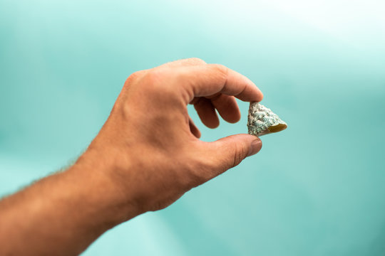 Fingerbreadth Bilder – Durchsuchen 171,387 Archivfotos, Vektorgrafiken ...