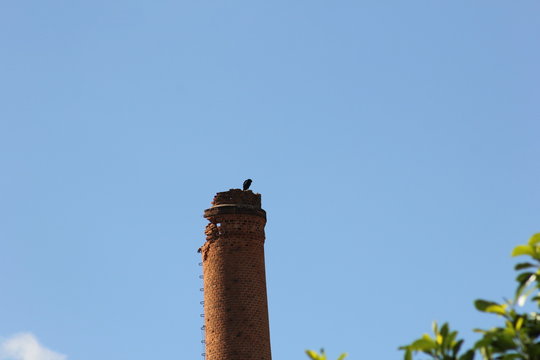 Chamine Images – Browse 40 Stock Photos, Vectors, and Video | Adobe Stock