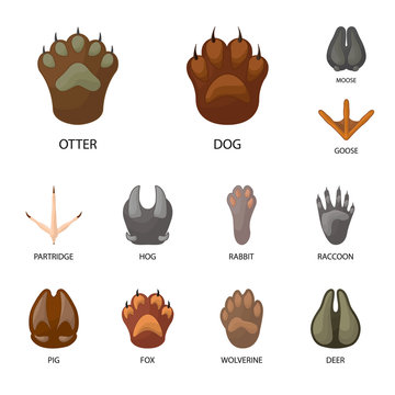 Wolverine Paw Images – Browse 11 Stock Photos, Vectors, and Video ...