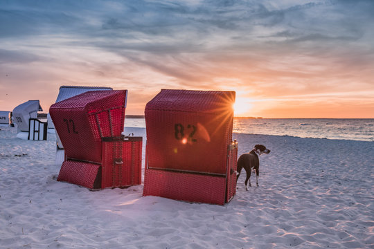 Meeer Bilder – Durchsuchen 94 Archivfotos, Vektorgrafiken und Videos ...