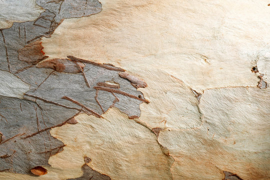 Balk - Images et vidéos libres de droits | Adobe Stock