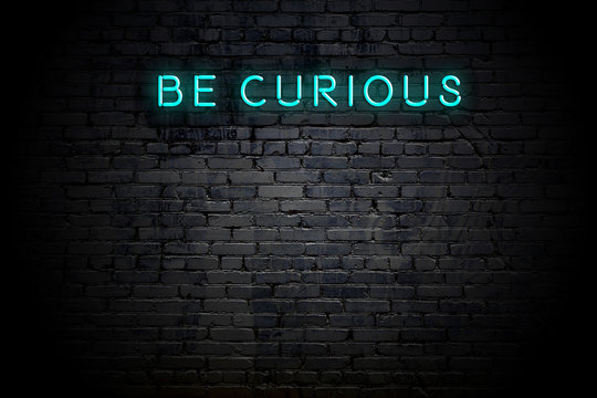 Curious Images – Browse 10,807,732 Stock Photos, Vectors, and Video ...