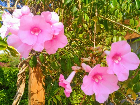 Imgen Images – Browse 6 Stock Photos, Vectors, and Video | Adobe Stock