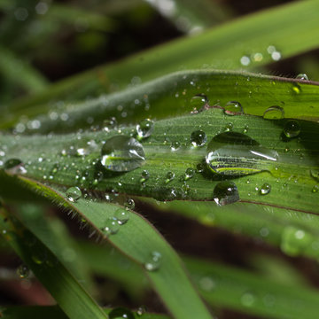 รูปภาพMatutino – เลือกดูภาพถ่ายสต็อก เวกเตอร์ และวิดีโอ364 | Adobe Stock