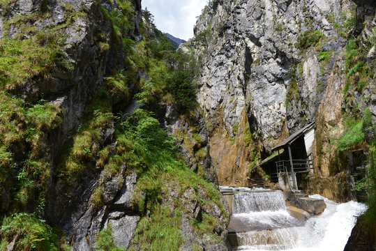 Gumpe Bilder – Durchsuchen 308 Archivfotos, Vektorgrafiken und Videos ...