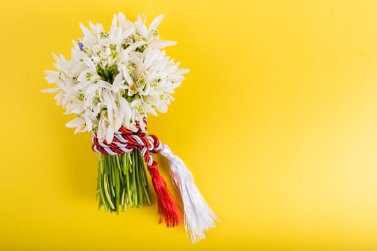 "1 Martie" Images – Browse 188 Stock Photos, Vectors, and Video | Adobe ...