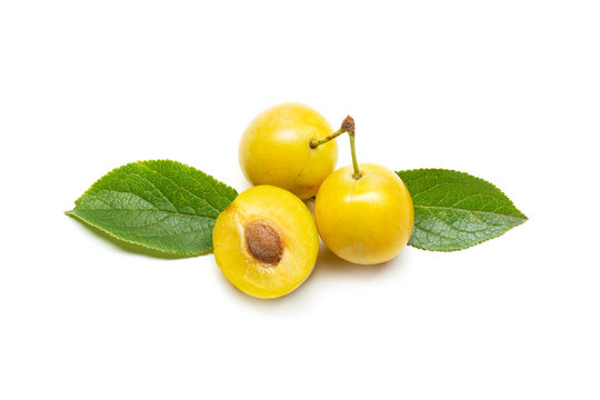 รูปภาพMirabelle – เลือกดูภาพถ่ายสต็อก เวกเตอร์ และวิดีโอ5,679 | Adobe Stock