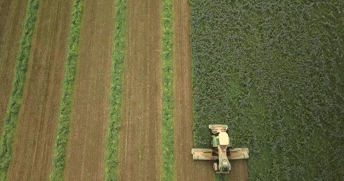 Monocropping Bilder – Durchsuchen 369 Archivfotos, Vektorgrafiken und ...