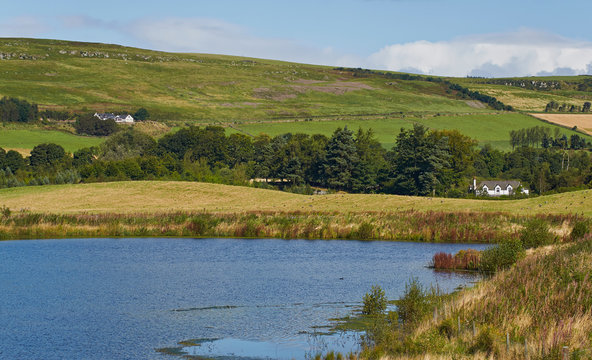 Forfar Images – Browse 141 Stock Photos, Vectors, and Video | Adobe Stock