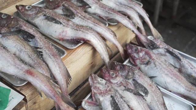 รูปภาพJacopever – เลือกดูภาพถ่ายสต็อก เวกเตอร์ และวิดีโอ21 | Adobe Stock