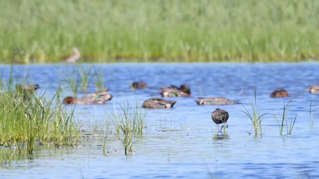 Beka Images – Browse 426 Stock Photos, Vectors, and Video | Adobe Stock