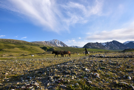 รูปภาพHulunbuir – เลือกดูภาพถ่ายสต็อก เวกเตอร์ และวิดีโอ685 | Adobe Stock