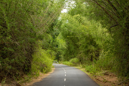 「Hasanur」の写真素材 | 61件の無料イラスト画像 | Adobe Stock