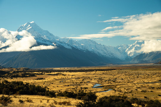 Aroki Images – Browse 13 Stock Photos, Vectors, and Video | Adobe Stock