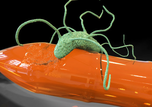 "Ideonella Sakaiensis" Images – Browse 16 Stock Photos, Vectors, and ...